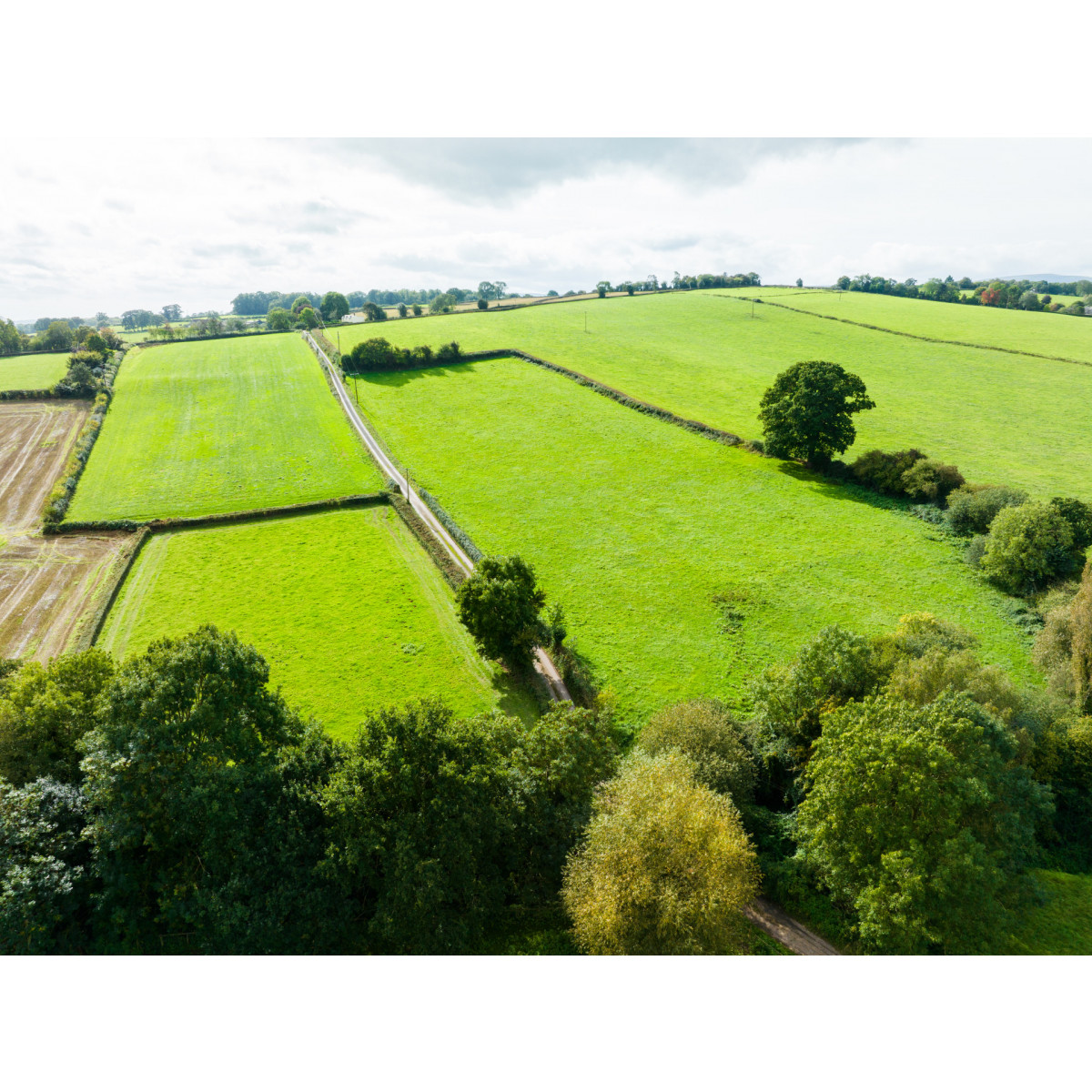 Duffryn Farm, Llanvapley, Abergavenny, Monmouthshire » Powells Rural Agency