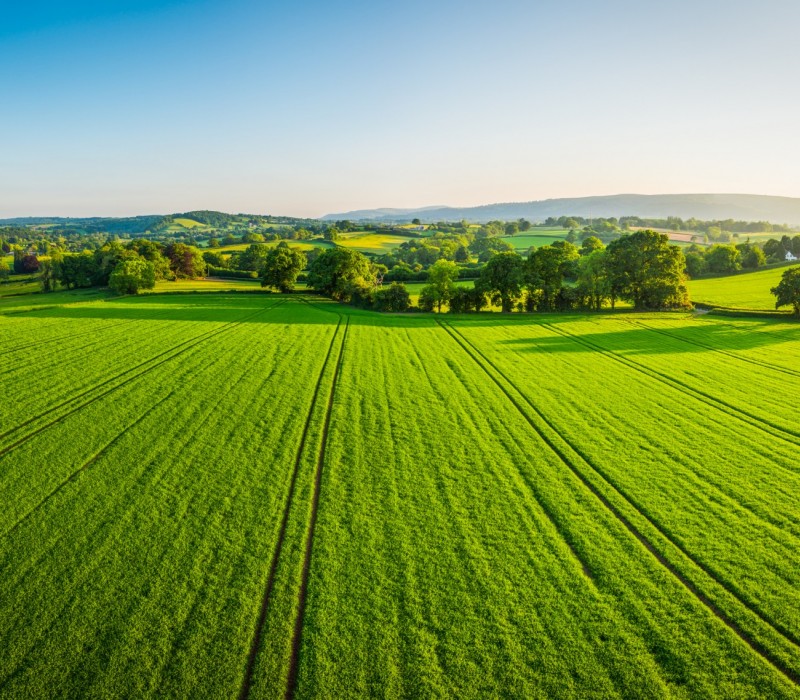 Estate Agency » Powells Rural Agency